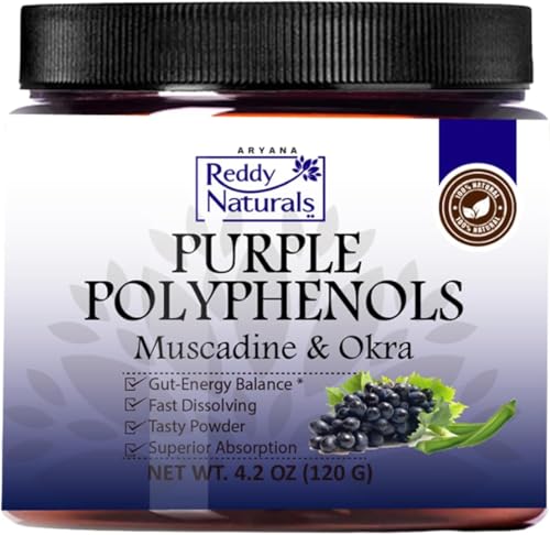 antioxidant superfood drink mix