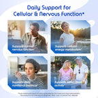 antioxidant support alpha lipoic acid
