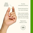 antioxidant support alpha lipoic acid