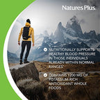 antioxidant support for blood pressure