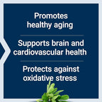 antioxidant support for healthy aging