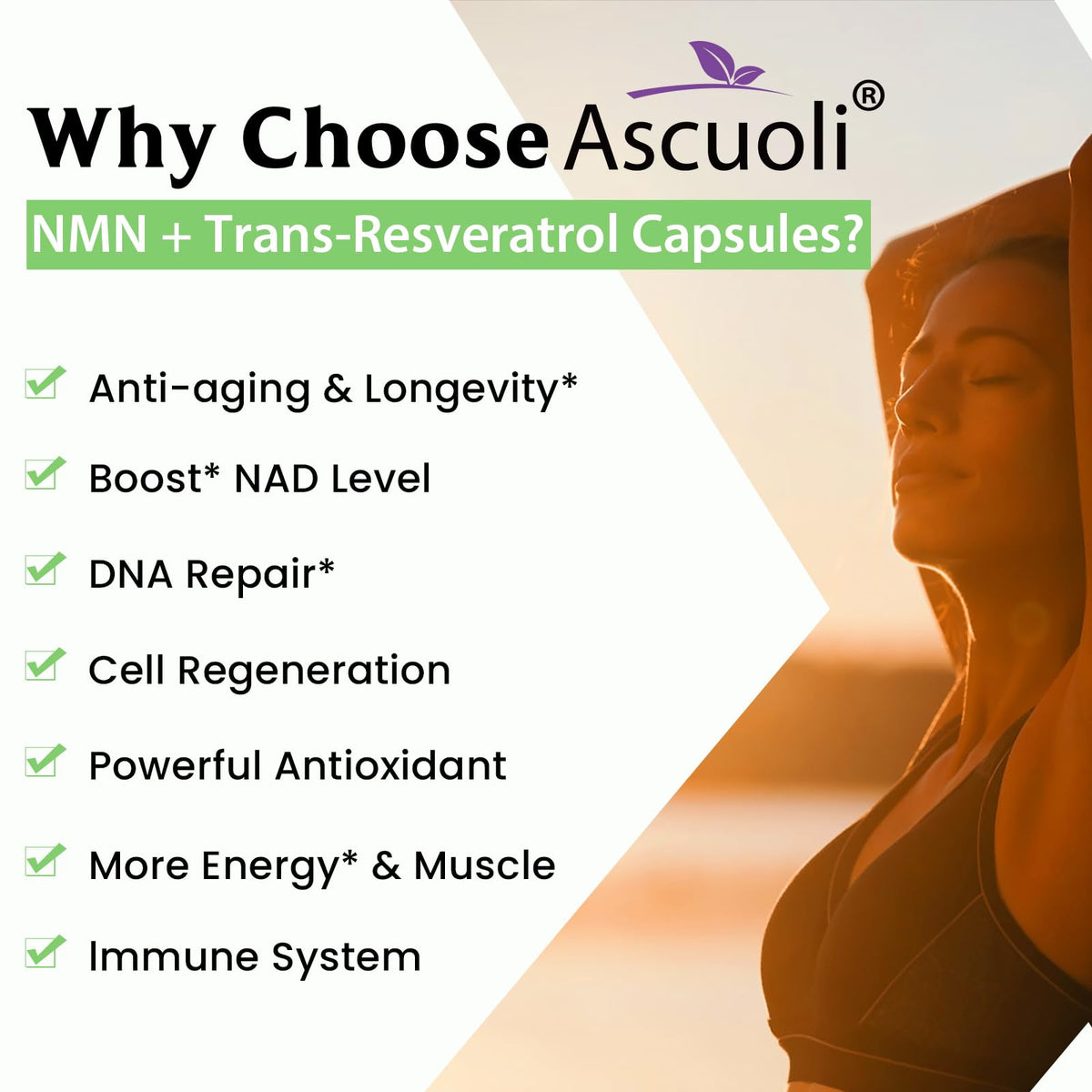 antioxidant support for healthy aging
