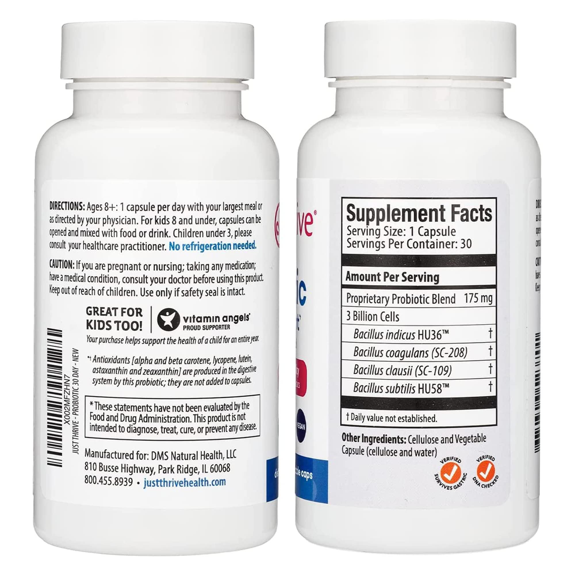 Antioxidant support for immune system