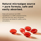 antioxidant support for skin health