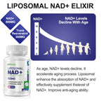 antioxidant support for vitality