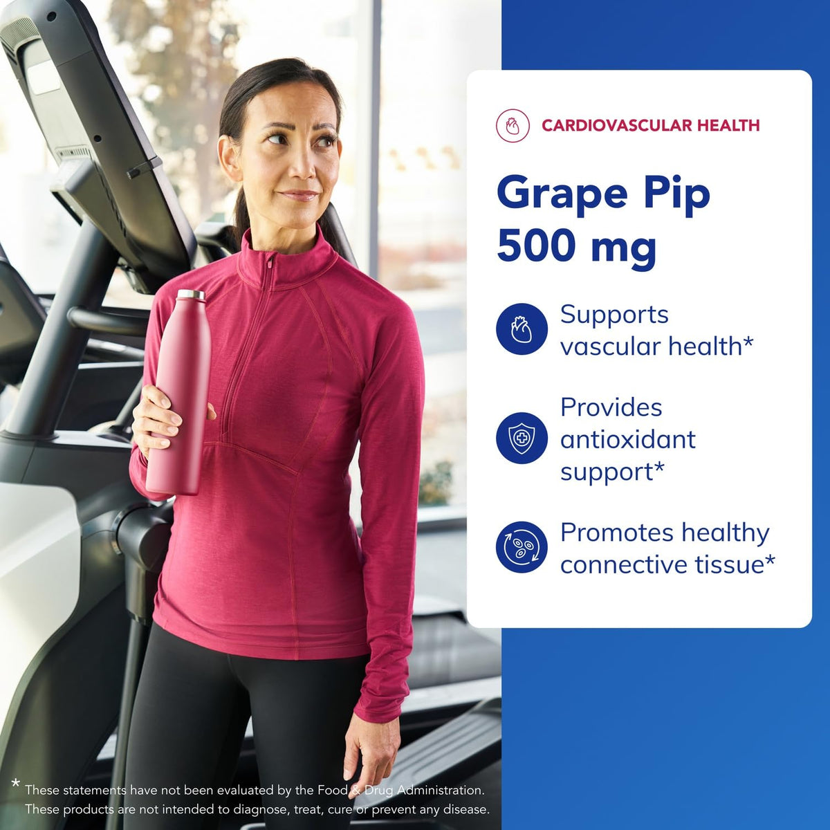 antioxidant support grape seed extract