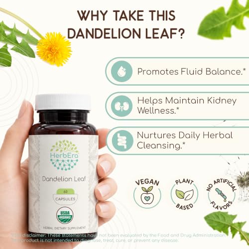antioxidant support herbal capsules