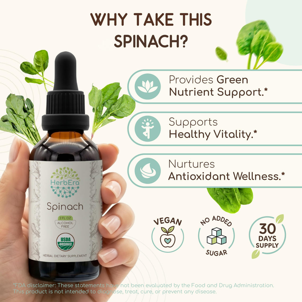 antioxidant support liquid extract