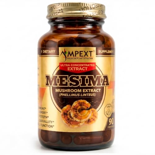 antioxidant support mushroom supplement