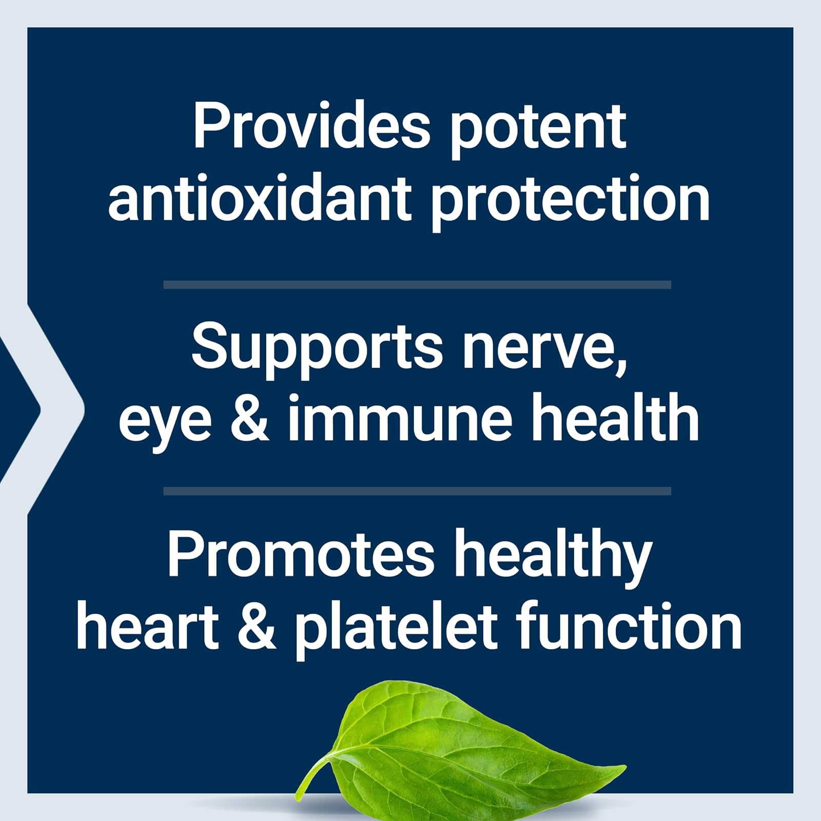 antioxidant support vitamin e formula