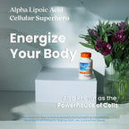 antioxidant support with alpha lipoic acid