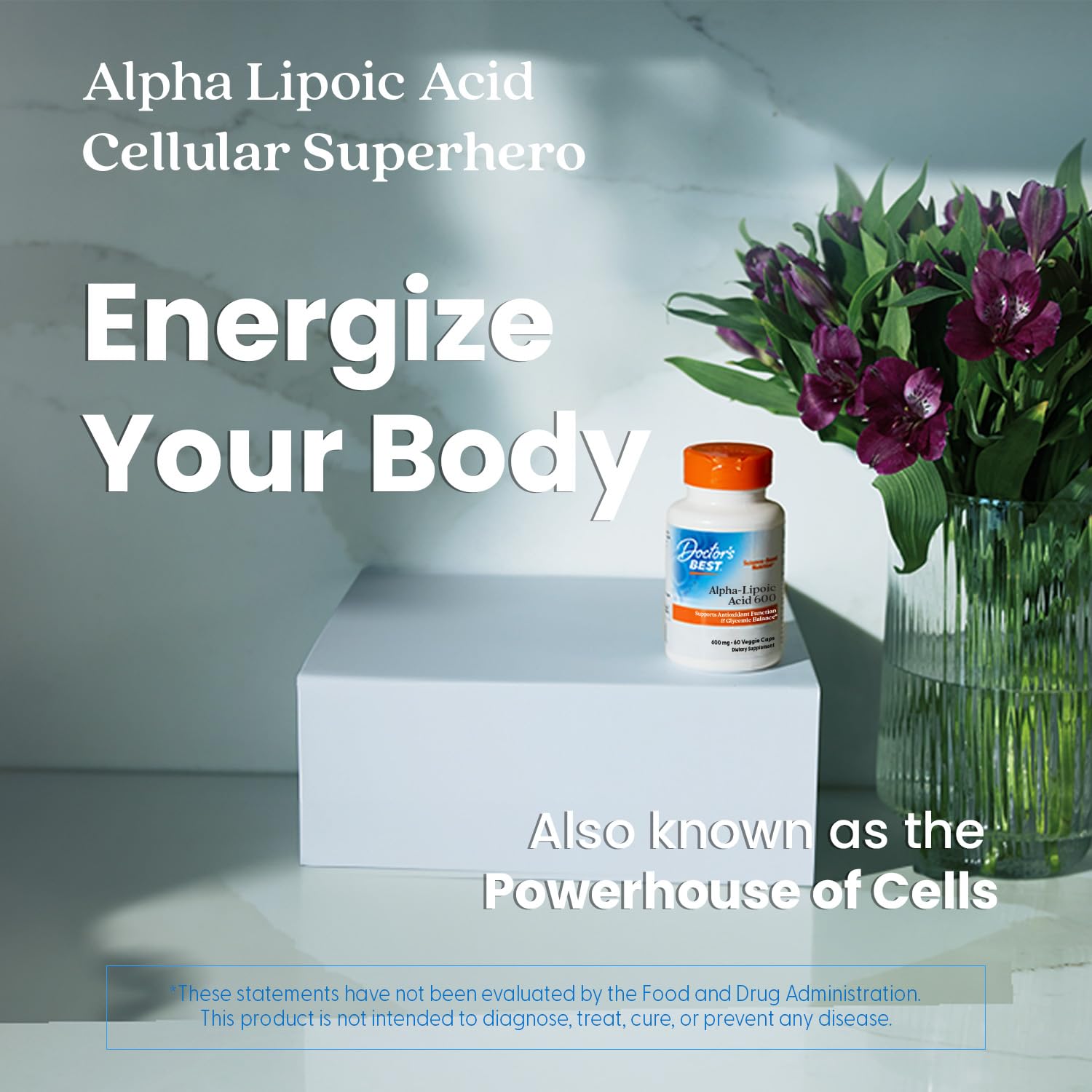 antioxidant support with alpha lipoic acid