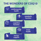 antioxidant support with coq10 ubiquinol