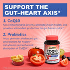 antioxidant support with CoQ10