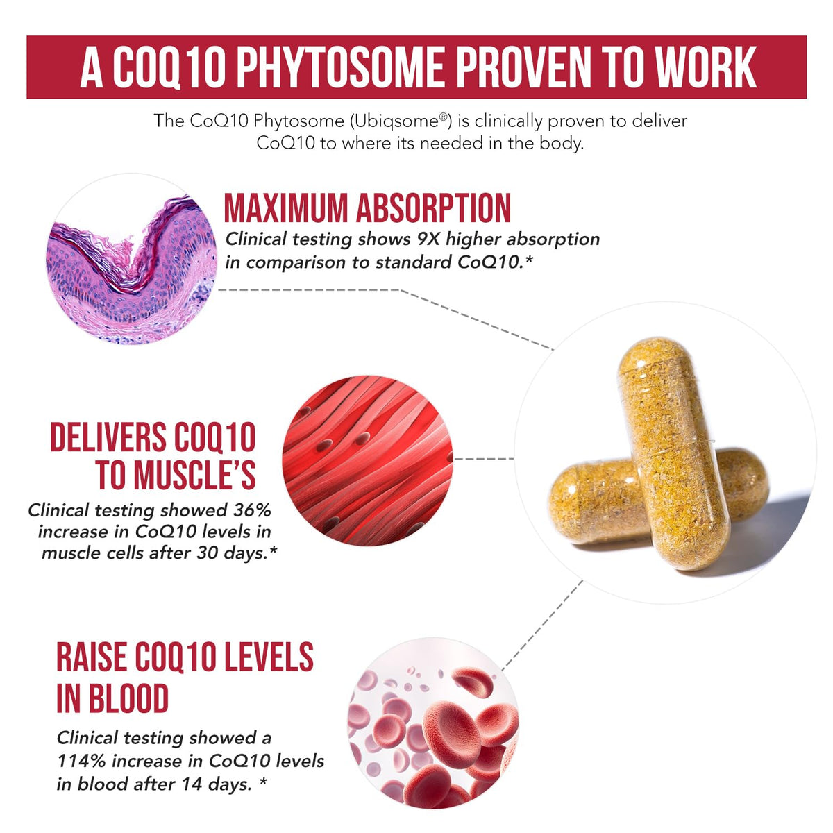 antioxidant support with CoQ10