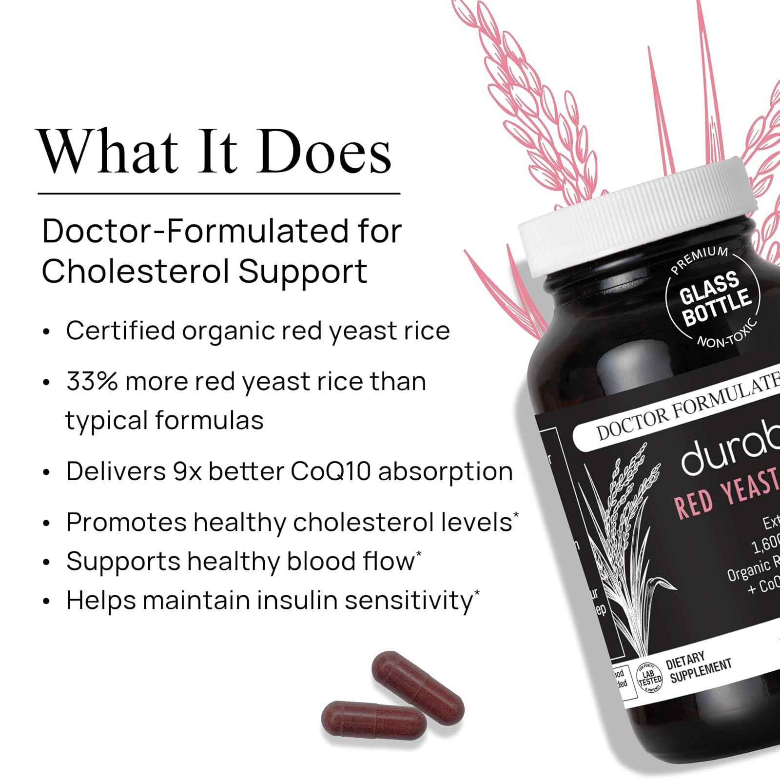 Antioxidant support with coq10
