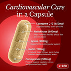 Antioxidant support with CoQ10