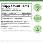 Antioxidant support with Ergothioneine