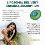 antioxidant support with glutathione