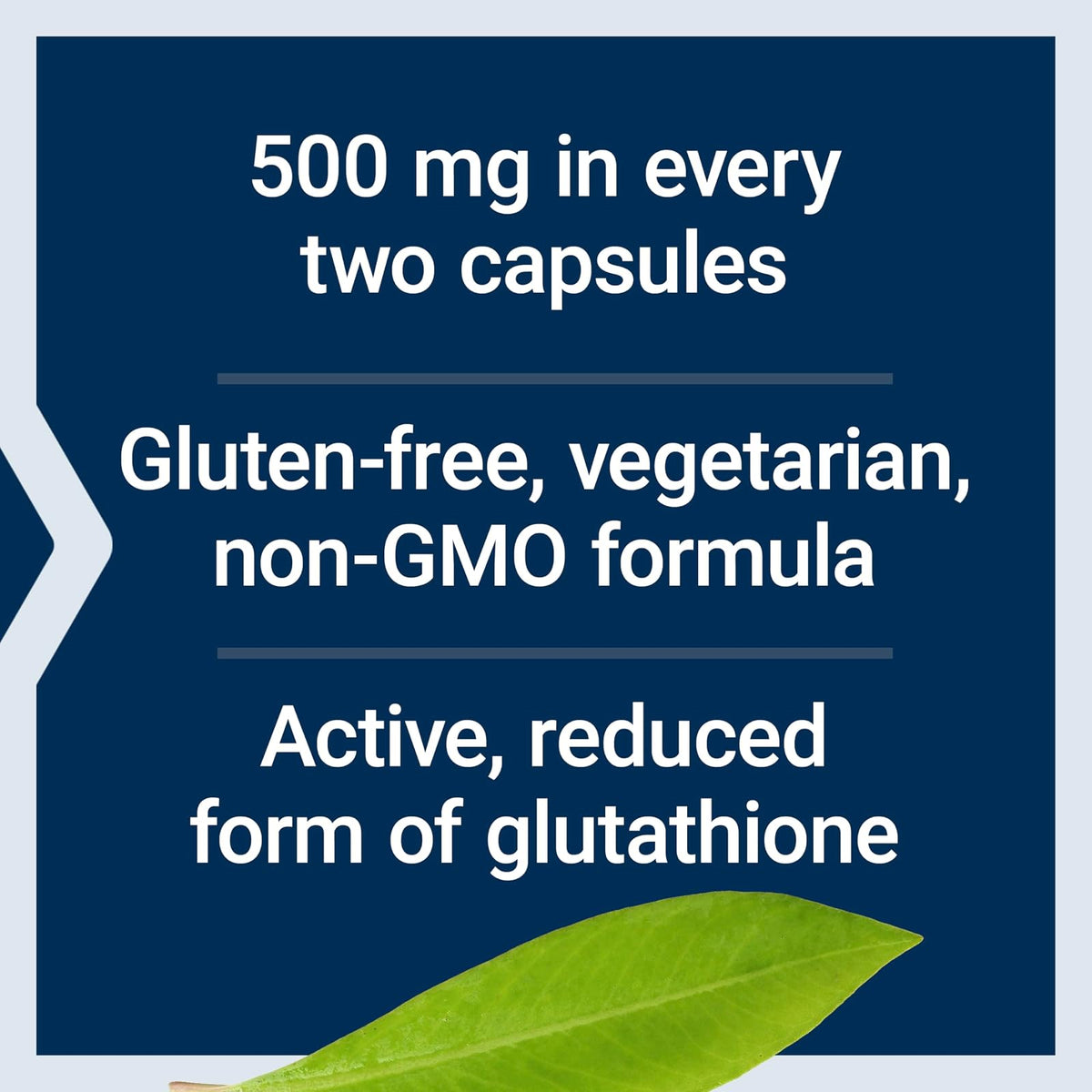 antioxidant support with glutathione