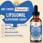 antioxidant support with glutathione