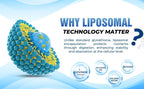 Antioxidant support with l-glutamine