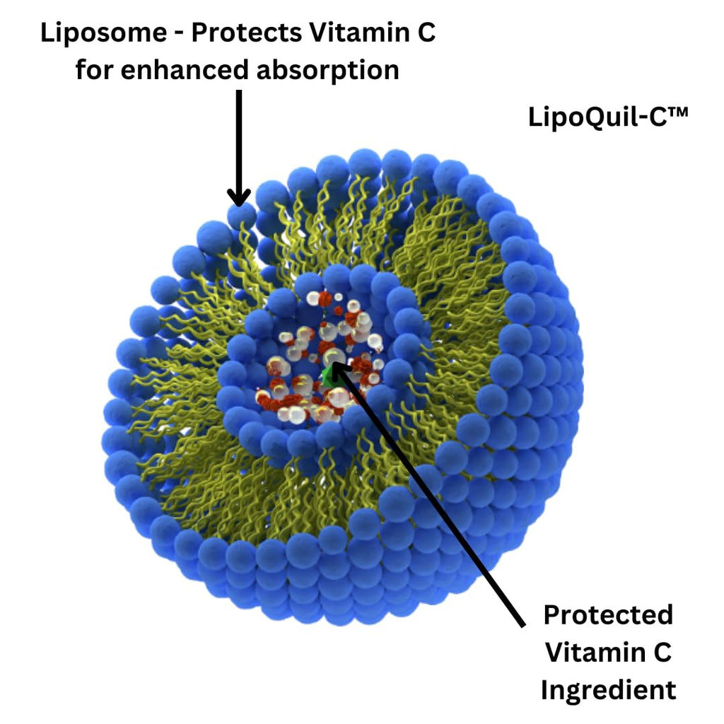 antioxidant support with liposomal vitamin c