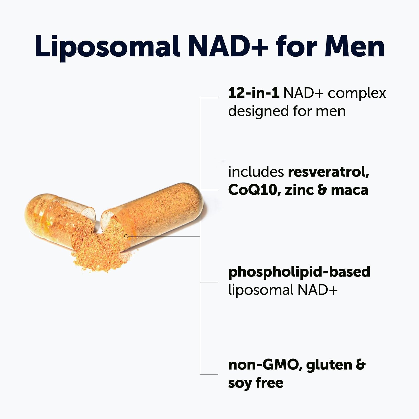 Antioxidant support with NAD+ capsules