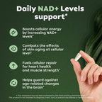 Antioxidant support with NAD+ formula