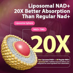 Antioxidant support with NAD supplement