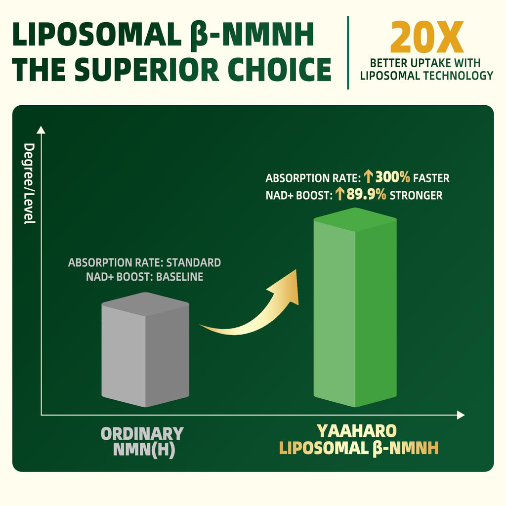 Antioxidant support with NMN