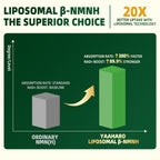 Antioxidant support with NMN