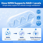 antioxidant support with NMN