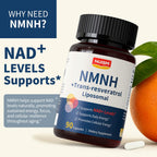 antioxidant support with NMNH NAD+