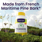 Antioxidant support with Pycnogenol