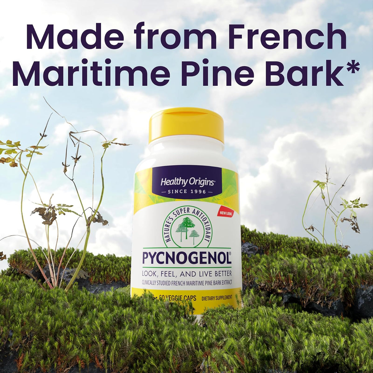 Antioxidant support with Pycnogenol