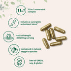 Antioxidant support with Resveratrol complex