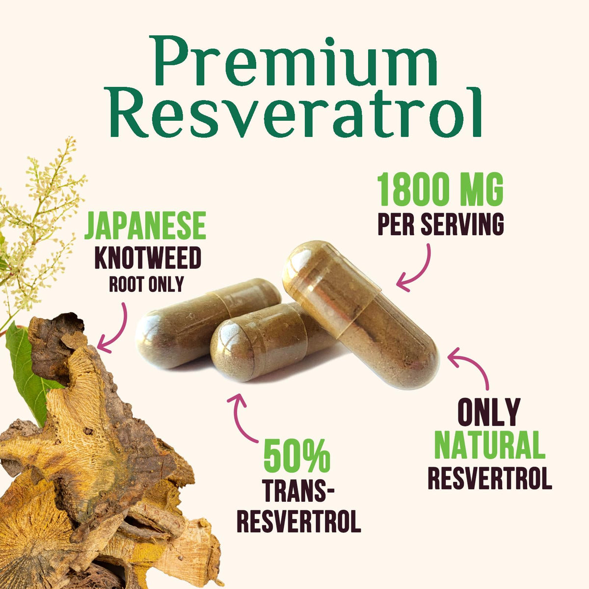 Antioxidant support with Resveratrol