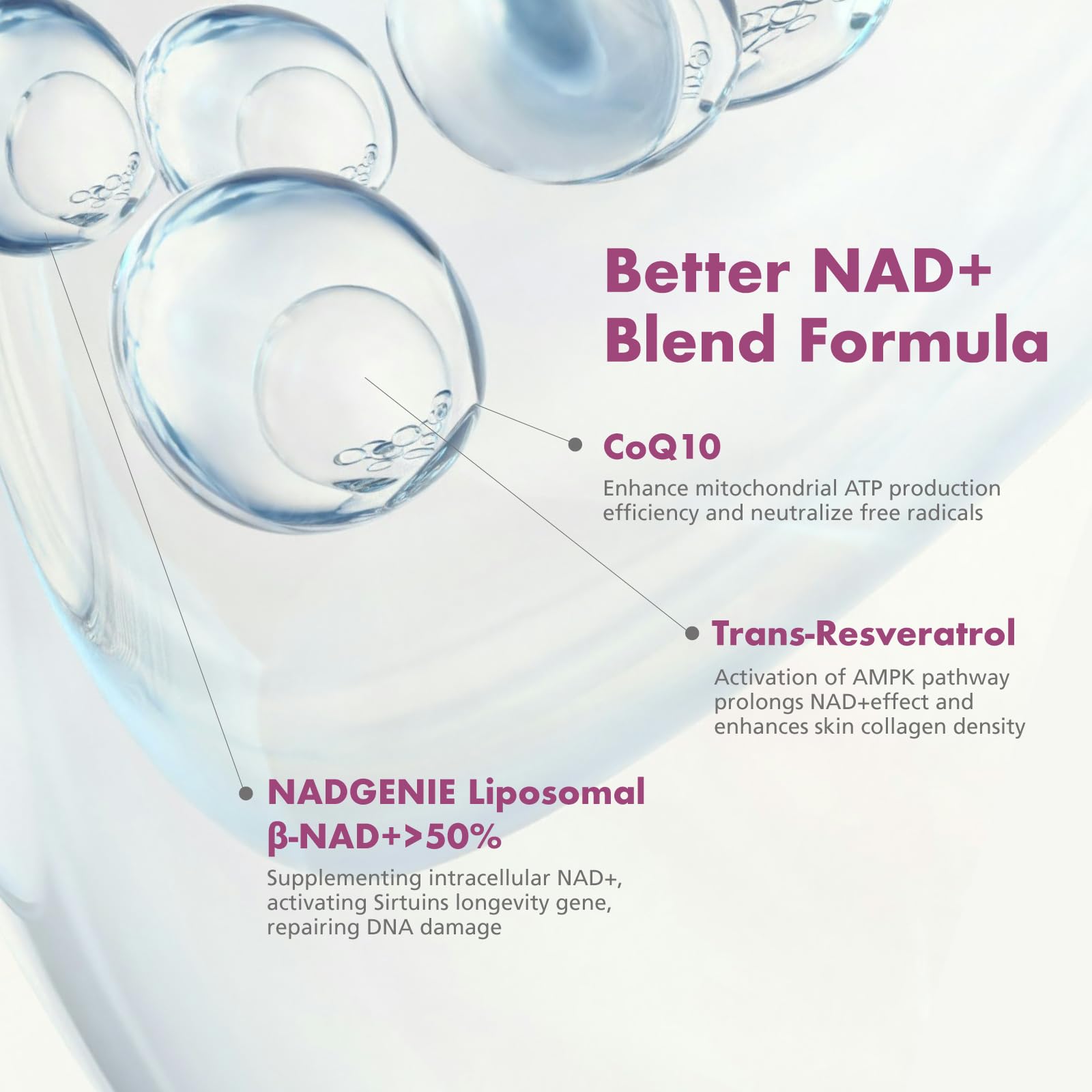 Antioxidant support with VHC capsules