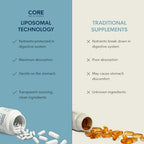antioxidant support with vitamin c