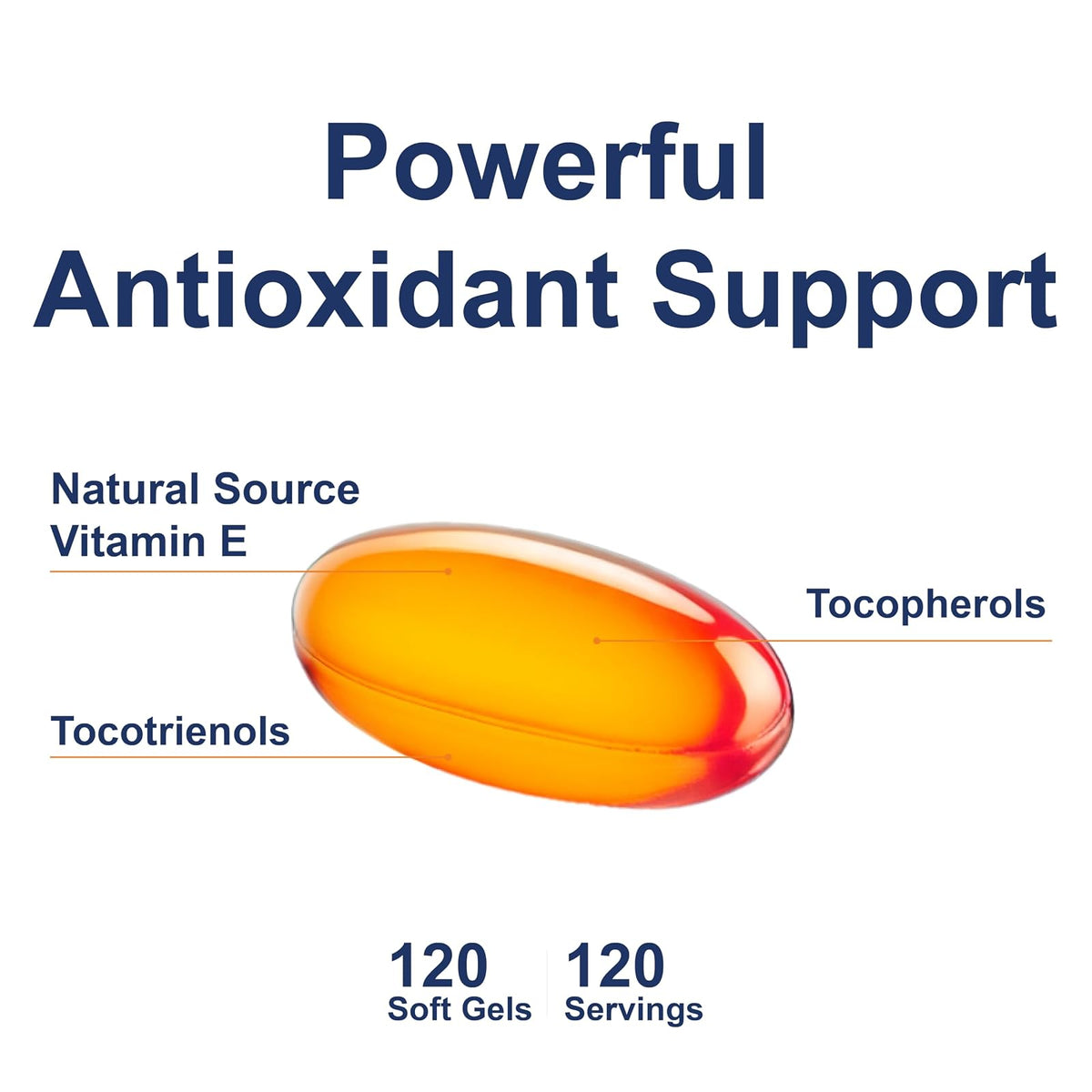 antioxidant support with vitamin e