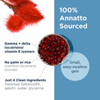 Antioxidant support with vitamin e