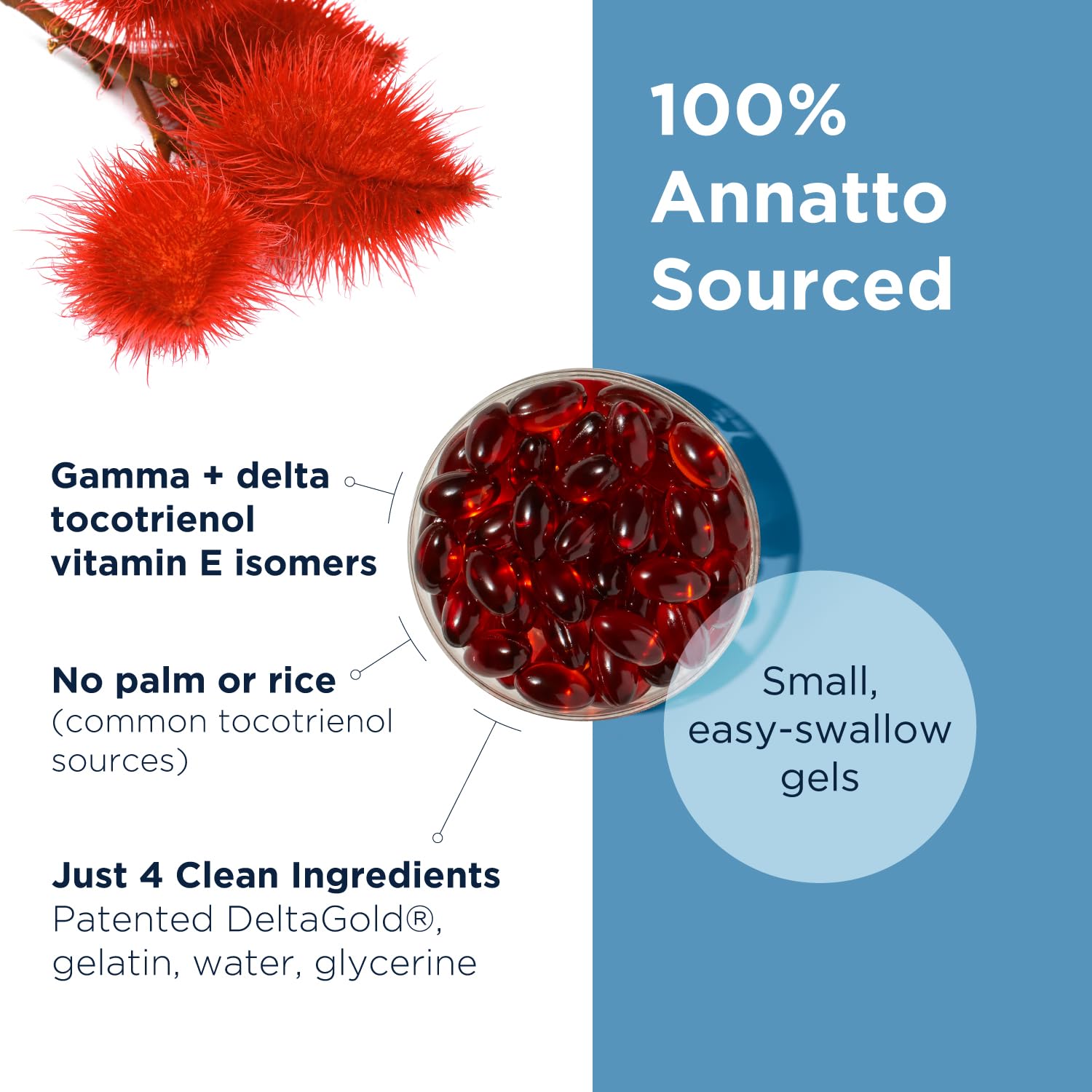 Antioxidant support with vitamin e