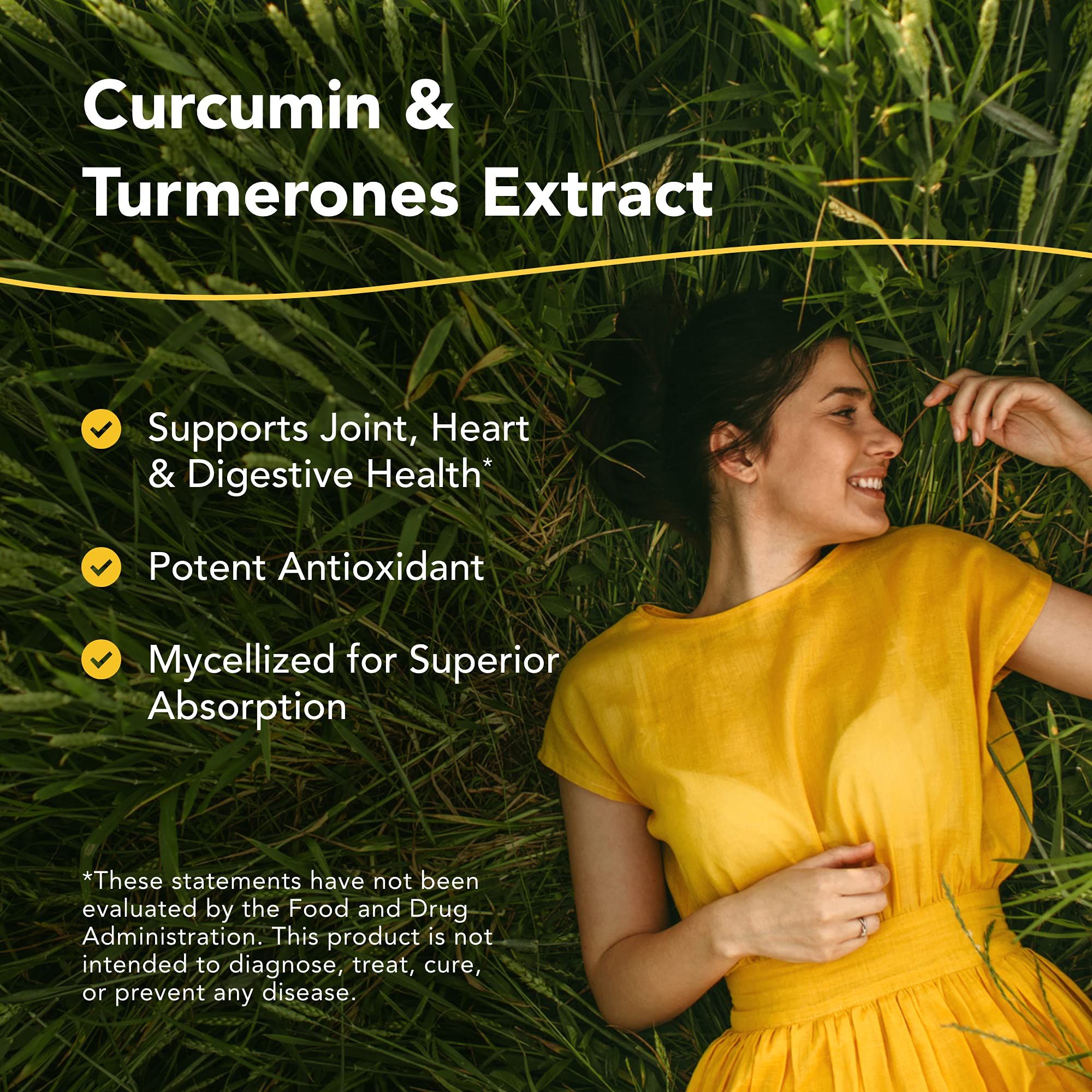 antioxidant turmeric for heart support