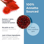 antioxidant vitamin e support for wellness