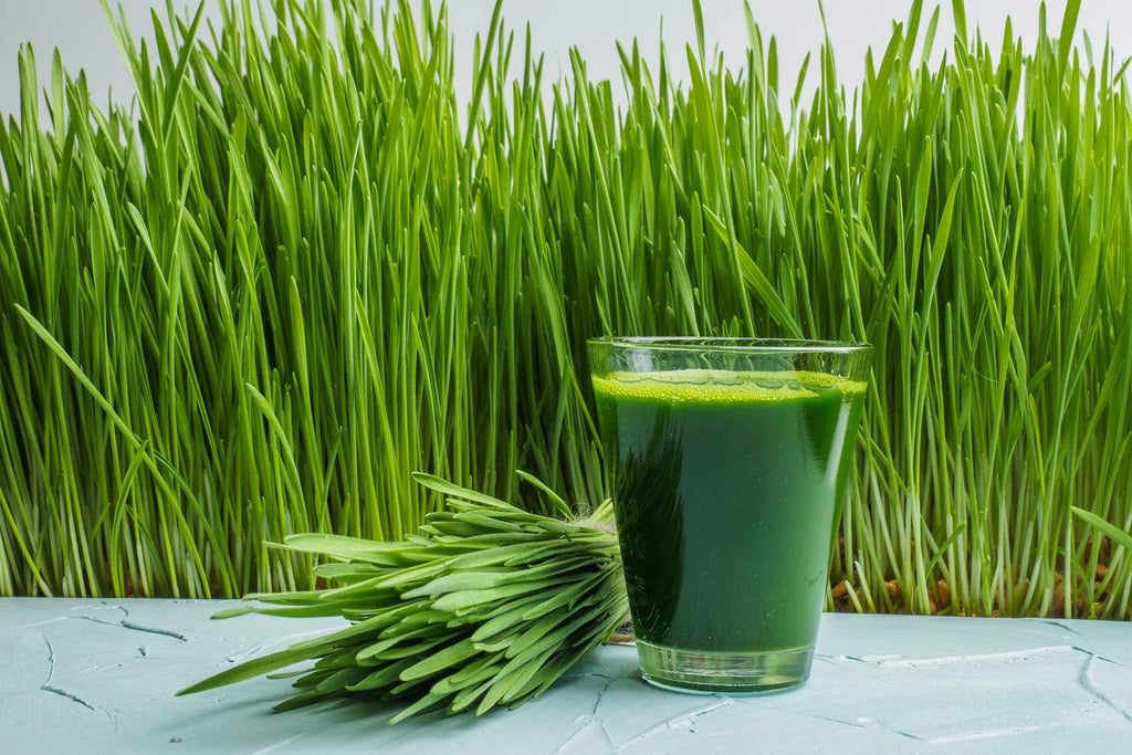 Antler Farms wheatgrass for detox