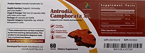 Antrodia mushrooms for daily vitality
