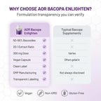 AOR Bacopa gummy multivitamin option