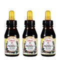 Apiario Silvestre propolis liquid extract