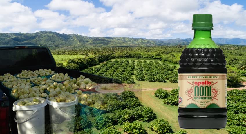 Apollo noni juice natural supplement